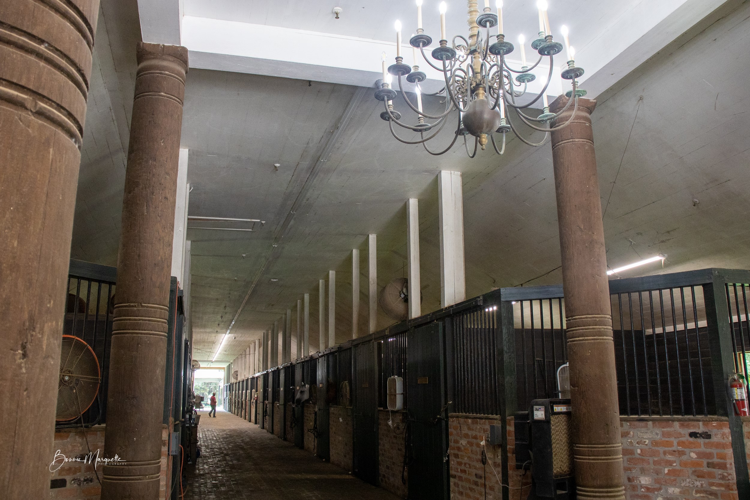 Locations Hub - Live Oak Arabians