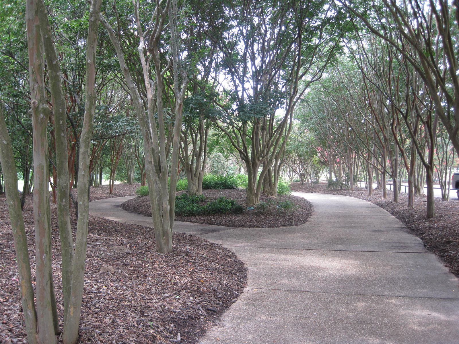 Locations Hub - BREC Independence Community Park