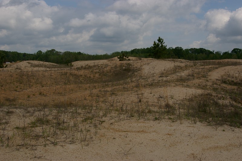 Locations Hub - Davis Sand Pit