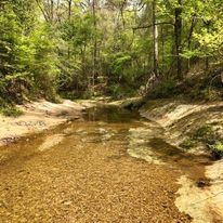 Locations Hub - Southern Cross Bucks Preserve