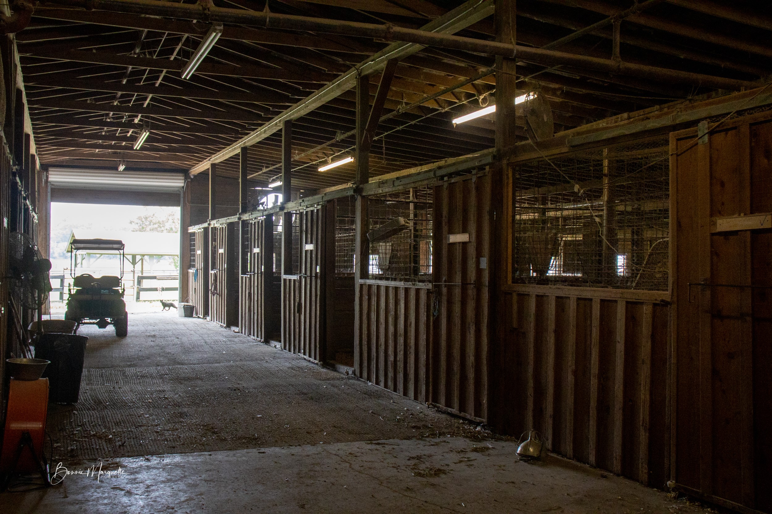 Locations Hub - Live Oak Arabians