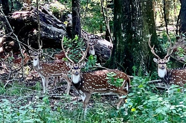 Locations Hub - Southern Cross Bucks Preserve