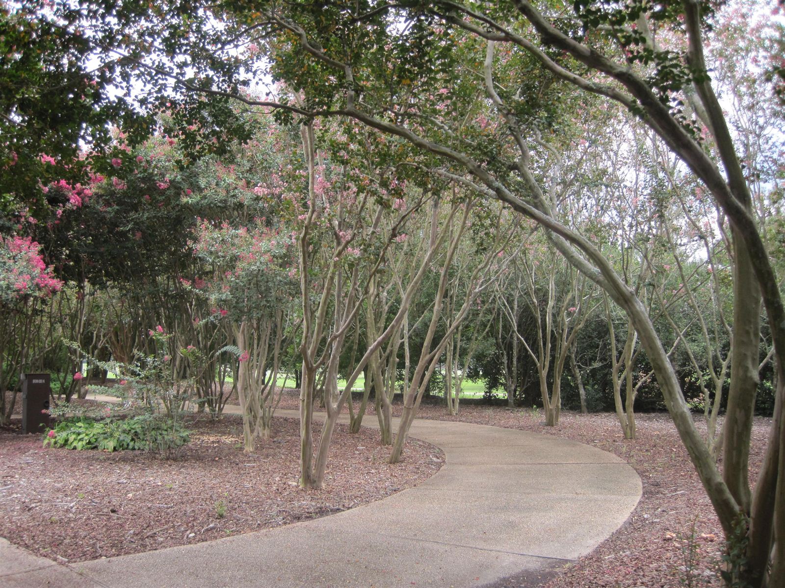 Locations Hub - BREC Independence Community Park