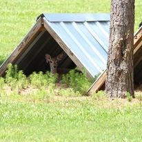 Locations Hub - Southern Cross Bucks Preserve