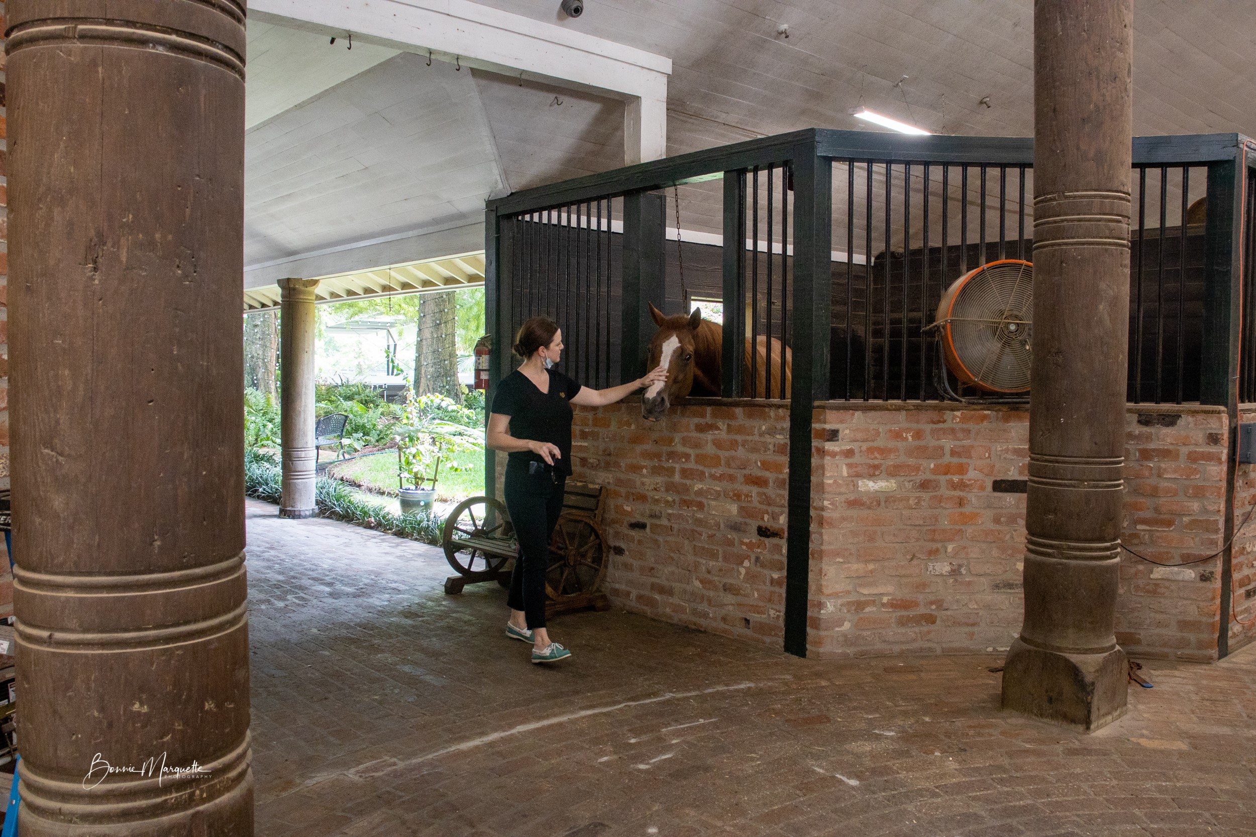 Locations Hub - Live Oak Arabians